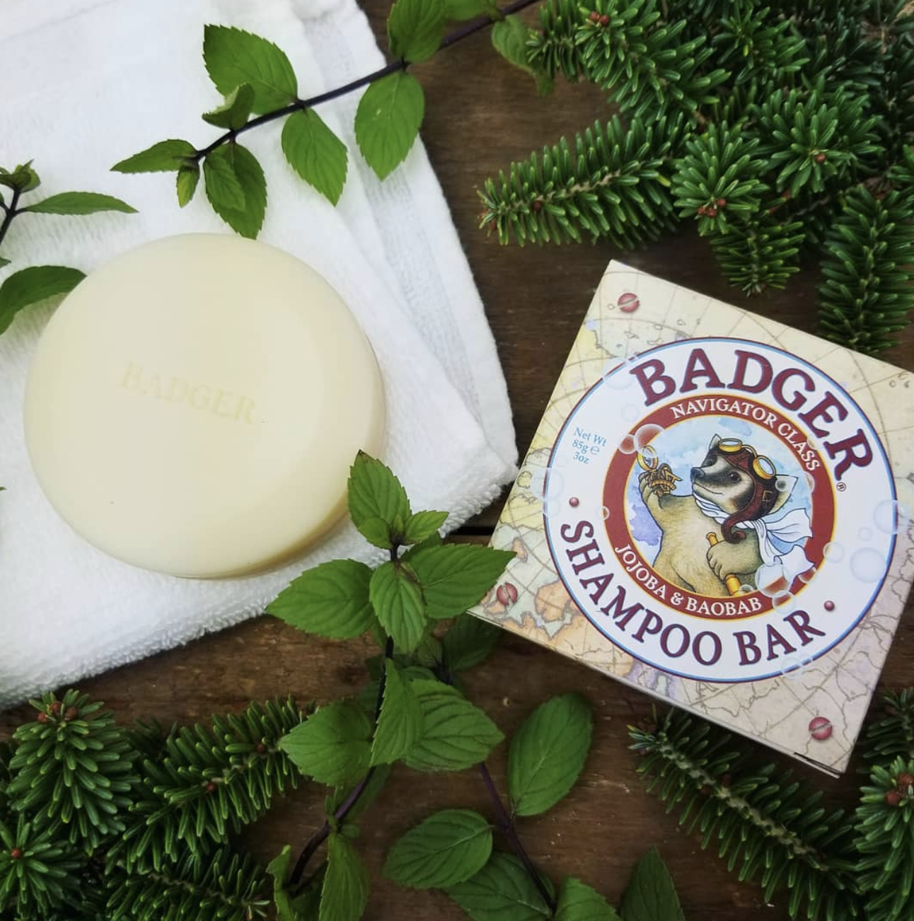 Badger
